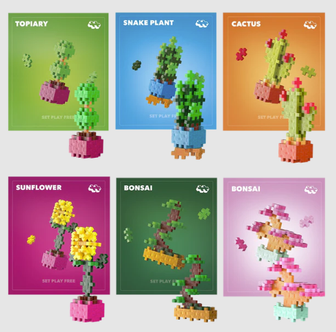 PP Plant Pack Assorted – Imagination Station